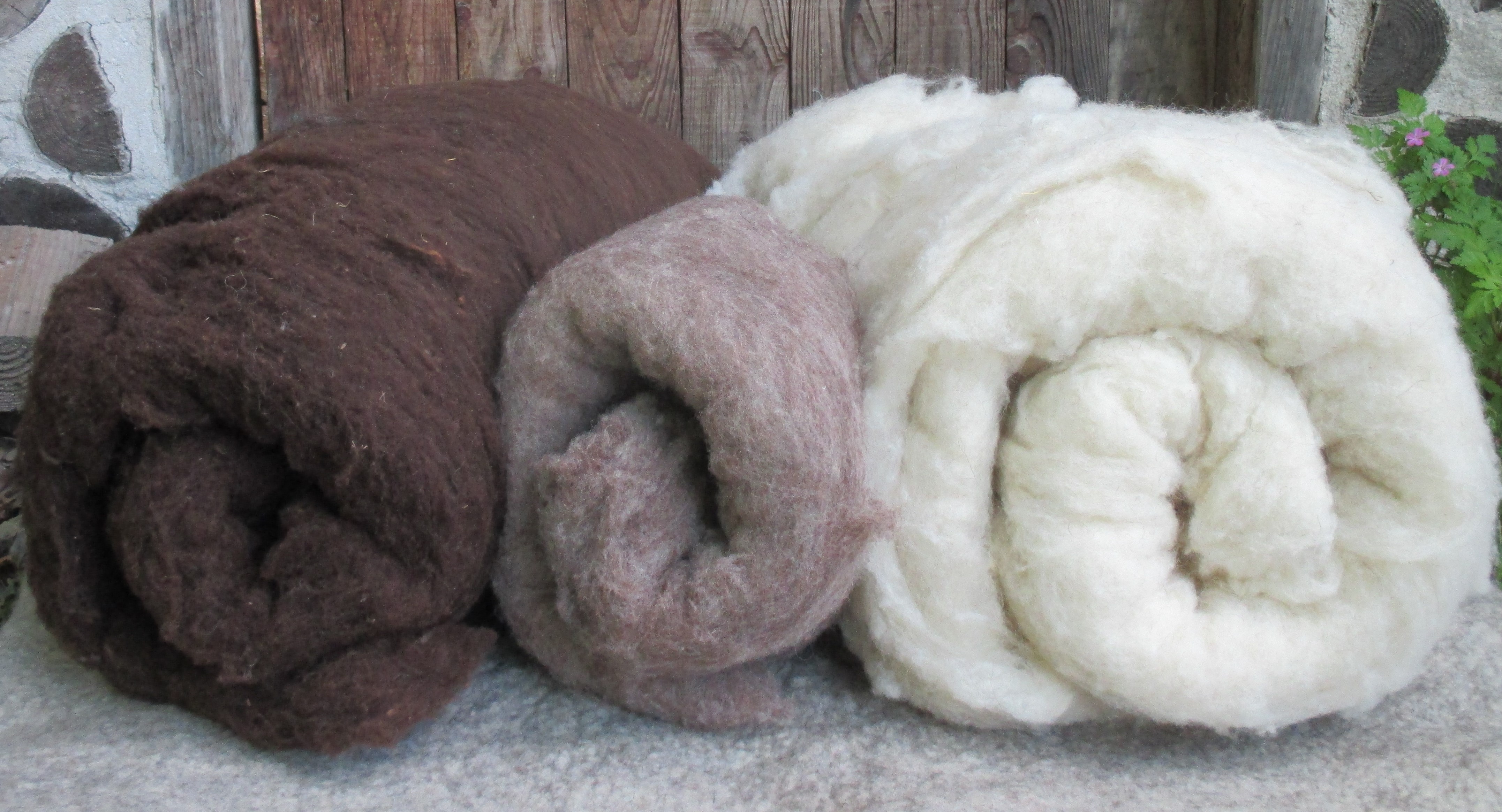 Laine cardée | La heid de Frenay